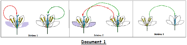 Bac svt S2-S2A-S4-S5 1er groupe 2022 | Sunudaara