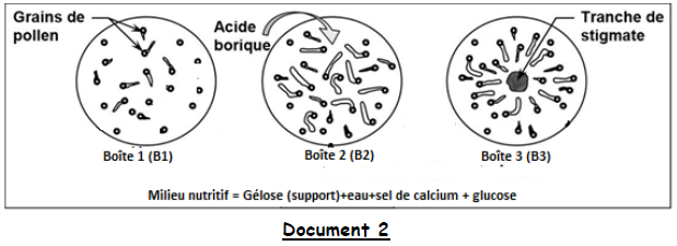 Bac svt S2-S2A-S4-S5 1er groupe 2022 | Sunudaara